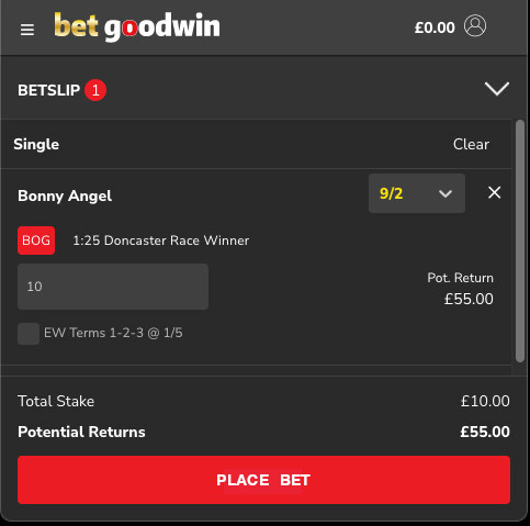 BetGoodwin UK Review 2025 – £25 Free Bet, Features & Odds