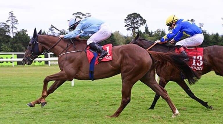 American Grand National 2025 Preview - Ballysax Hank in the US
